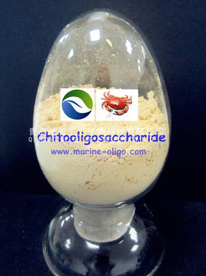 Application of chitosan oligosaccharide in pig production