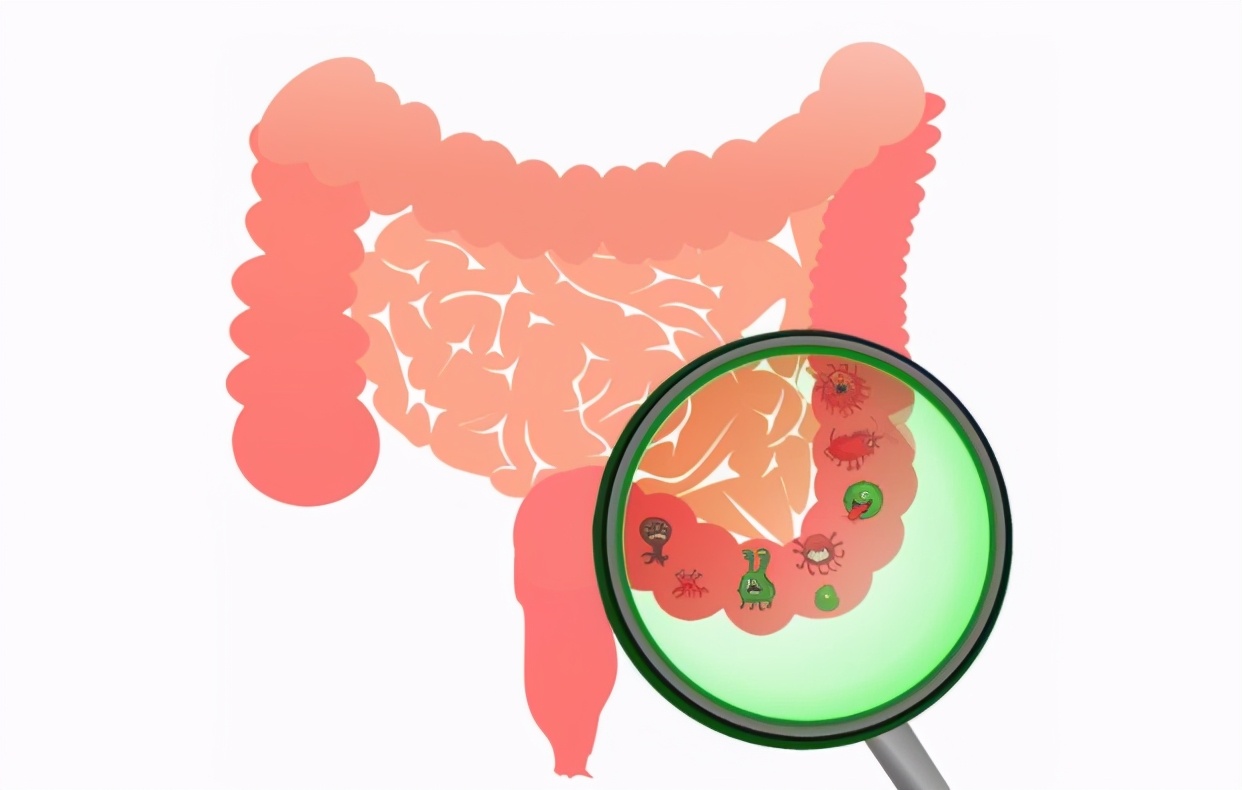 Treatment of acute radiation enteritis by intragastric administration ...