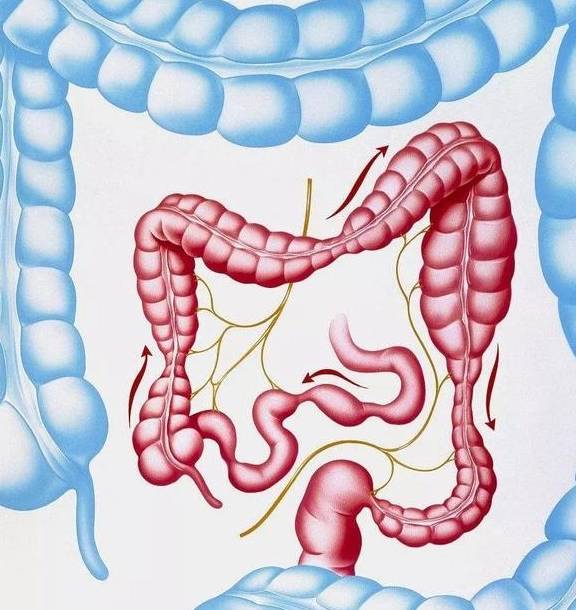 Alginate oligosaccharide and cyanidin-3-O-glucoside synergistically ...